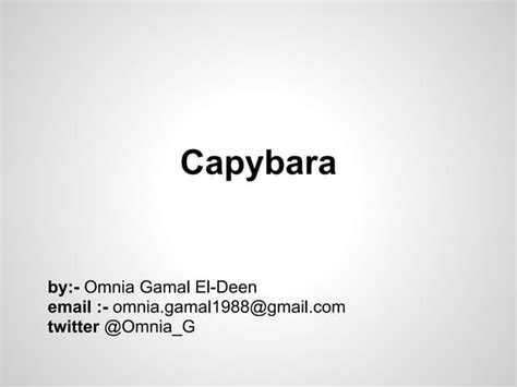 Capybara With Rspec Ppt