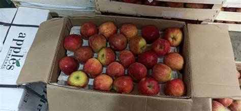 Himachali A Grade Himachal Apple Packaging Size 20 Kg Packaging Type
