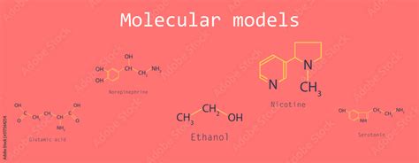 Vetor De Chemical Formulas Of Food And Cosmetic Preservatives Parabens