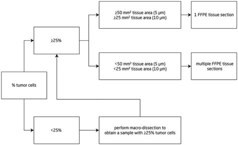 Decision Tree Of Pre Analytical Ffpe Sample Preparation Prior To Download Scientific Diagram