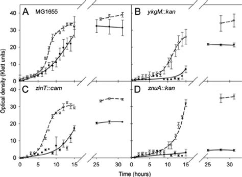 Growth Of Wild Type And Isogenic Mutant E Coli Strains In Zn 2