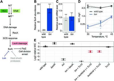 Cs Due To Interference With The Cellular Drug Response A Model For Download Scientific