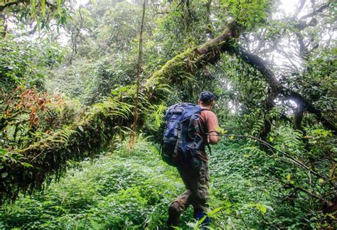 Deforestation Laos Archives Jandc Group Your Trusted Partners In Laos