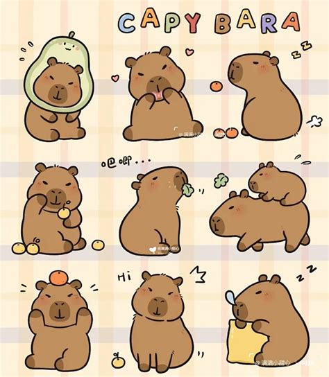 卡皮巴拉简笔画 花瓣网