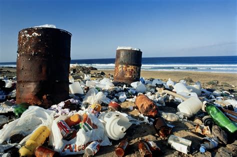 North Atlantic Ocean Garbage Patch Alchetron Ocean Wildlife