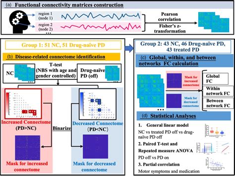 workflow of image processing and statistical analyses a fc matrices