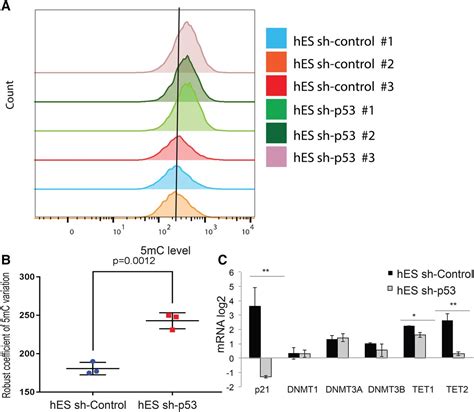 P53 Is Essential For Dna Methylation Homeostasis In Naïve Embryonic