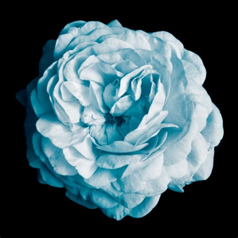 Minecraft Keycaps Mobs By Alex1337 Makerworld Download Free 3d Models