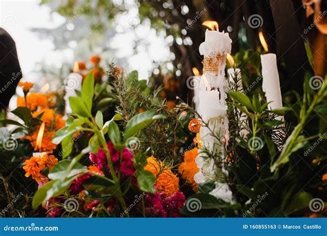 Dia De Los Muertos Mexico Cempasuchil Bloemen Voor De Dag Van De Dood