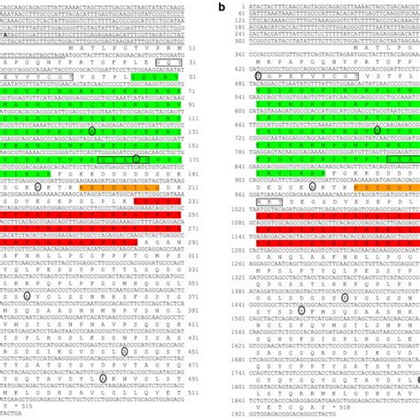 Nucleotide And Deduced Amino Acid Sequences Of Rainbow Trout Rt Pax7