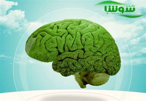 کدام مواد غذایی برای پیشگیری از بیماری آلزایمر مناسب هستند؟