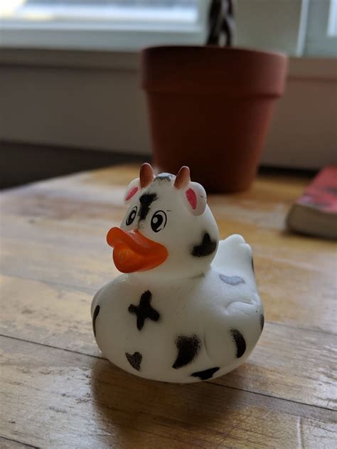 Rubber Ducky Debugging Dev Community