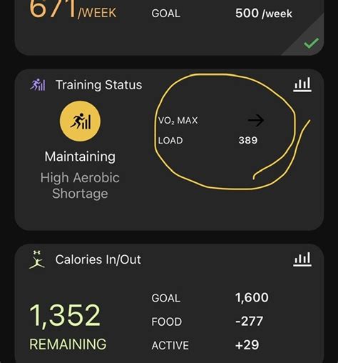 Vo2 Max Reading In My Day With Small Font Garmin Connect Mobile Ios