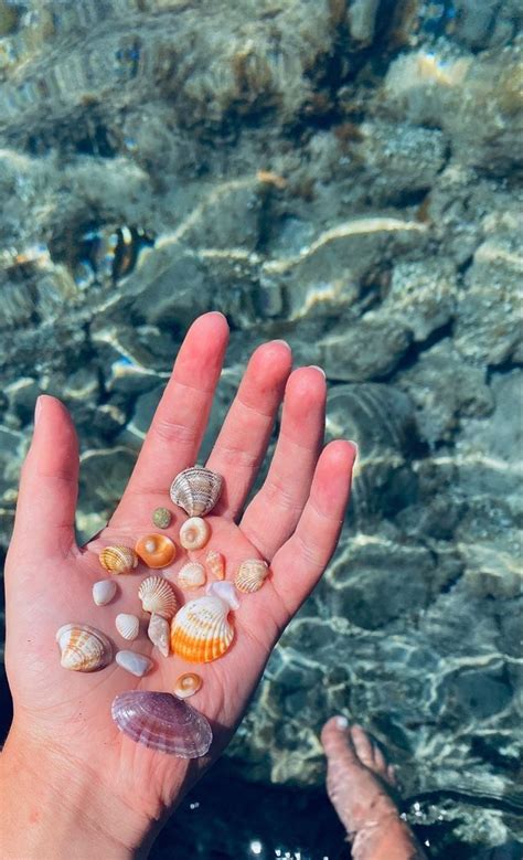 Fernanda Adlı Kullanıcının Guardado Rápido Panosundaki Pin Yaz