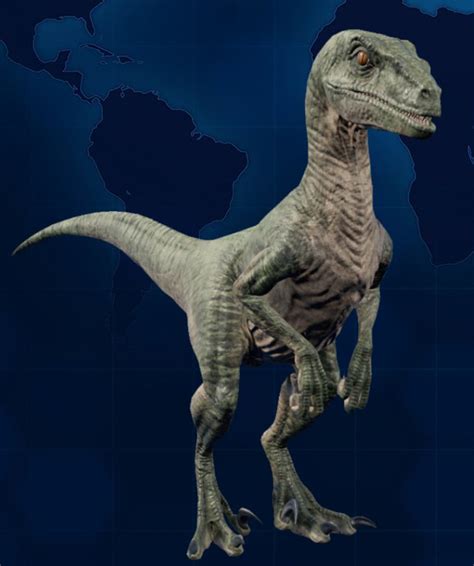 Velociraptor Jurassic World Evolution Wiki Fandom