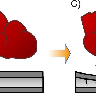 BCG Measurement And Correlation With A Synchronized Recorded ECG A Download Scientific