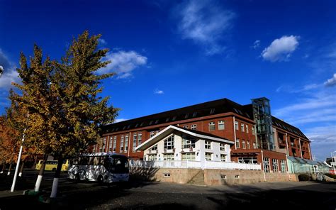 北京国际高中北京国际学校一站式升学服务 91择校