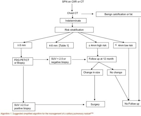 Suggested Simplified Algorithm For The Management Of A Solitary