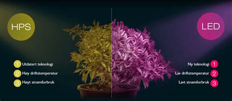Led Vs Hps Smartvekst No