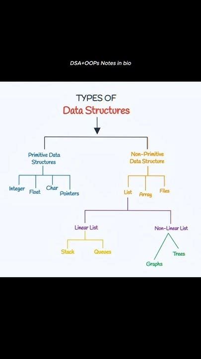 What Are Primitive And Non Primitive Data Types In Dsa 🤔 What Are Their Types 🤔 Shorts