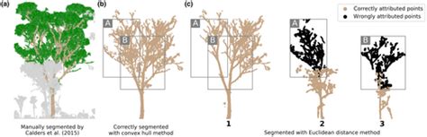 Tls2trees A Scalable Tree Segmentation Pipeline For Tls Data Wilkes 2023 Methods In