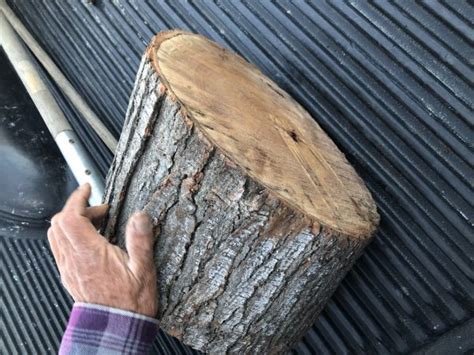 Wood Identification Guide The Wood Database