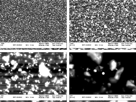 SEM Image Of ASTM A194 Steel With Polyurea Coating Containing 2 Wt