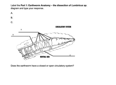 Label The Part 1 Earthworm Anatomy The Dissection Of Lumbricus Sp Diagram And Type Your Response