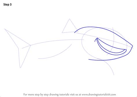 How To Draw Destiny From Finding Dory Finding Dory Step By Step