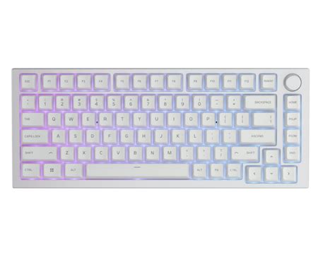 Glorious Gmmk Pro White Ice 75 Tkl Barebone Ansi Layout Stříbrná