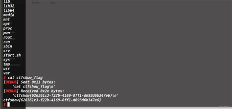 ctfshow pwn 栈溢出（pwn41 pwn42） ctfshow pwn41 csdn博客