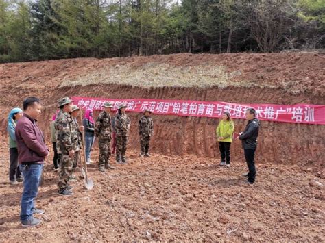 甘肃莲花山国家级自然保护区管护中心中央财政林业科技推广示范《铅笔柏育苗与栽培技术推广》项目组在莲花山示范点开展技术培训