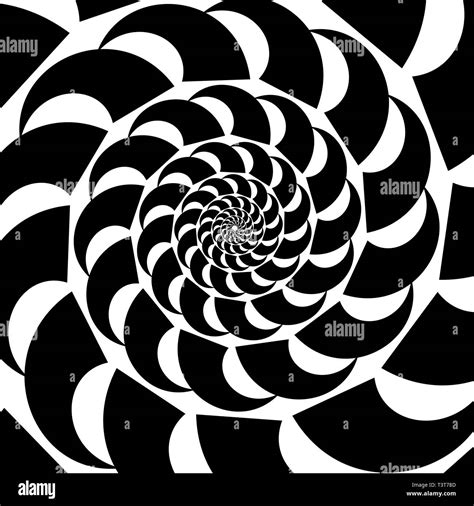 Abstract Vector Shell Spiral Shape Shell Design Element On White Background Stock Vector