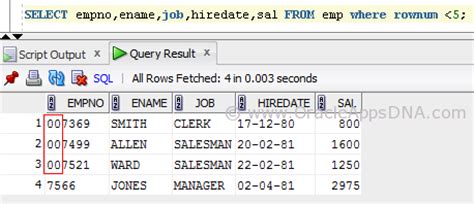 How To Display Leading Zeros In XMLP Report Excel Output OracleAppsDNA