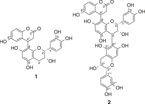 Scielo Brasil Isolation And Characterization Of Flavanols From