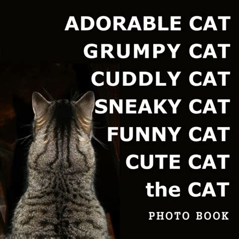 Grumpy Cat Jokes