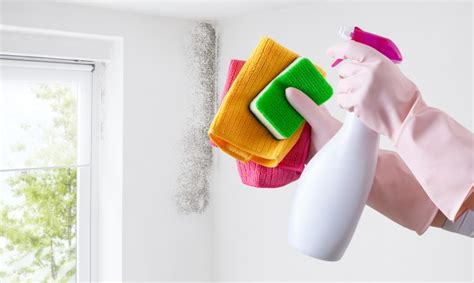 벽 곰팡이 제거 쉽게 따라할 수 있는 Tip｜장마철 습기관리 방법 네이버 블로그