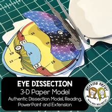 Scienstructable 3D Dissection Model Eye Paper Dissection Carolina