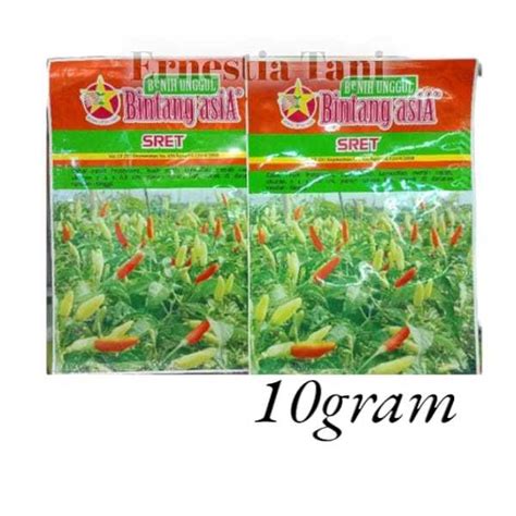 Benih Cabai Rawit Genie 10gram Bintang Asia Lazada Indonesia