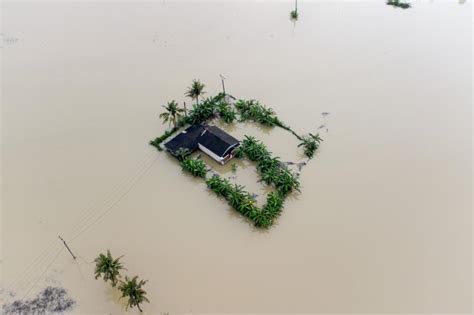 Hektare Sawah Di Karawang Alami Puso Akibat Banjir Republika Online