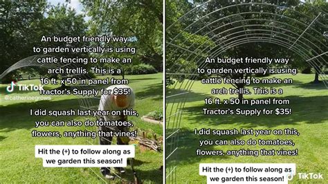Gardener Shares Simple Trellis Hack To Make The Most Of A Small Garden