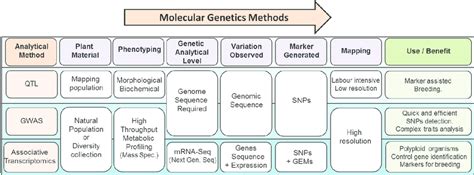 classic and novel molecular genetic methods exploitation of genetic