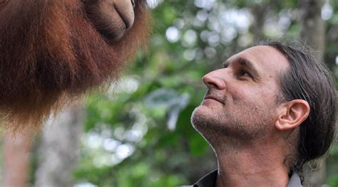Archived Orangutans A More Noble Form Of Humanity Heart Of The City
