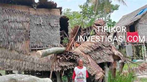 78 Tahun Hut Ri Nenek Zulma Tinggal Di Gubuk Reot Tipikor Investigasi