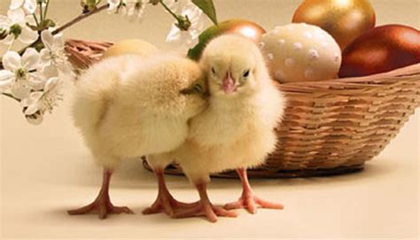 Почиње Васкршњи пост