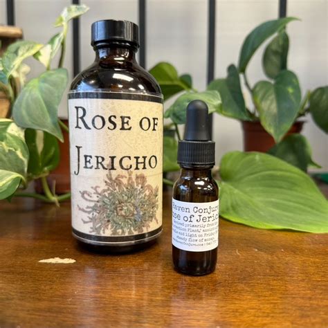 Rose Of Jericho Oil — Raven Conjure