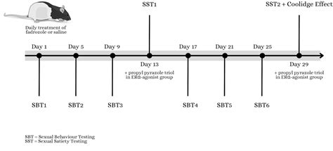 Figure 1 From Low Dose Of Propyl Pyrazole Triol An Agonist Of Estrogen