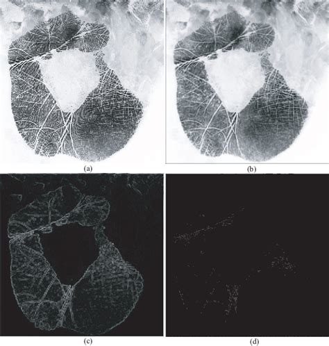 Figure 3 From Automatic Region Segmentation For High Resolution