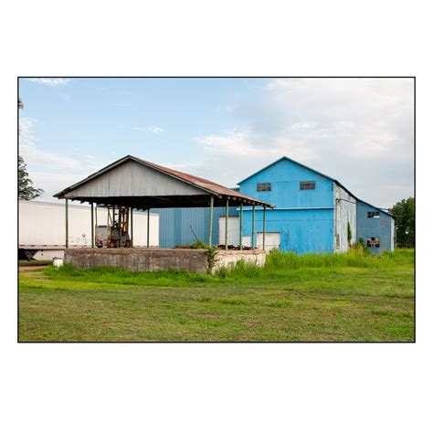 Mound Bayou And Cotton