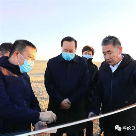 高润喜深入陈巴尔虎旗实地调研督导工作发展